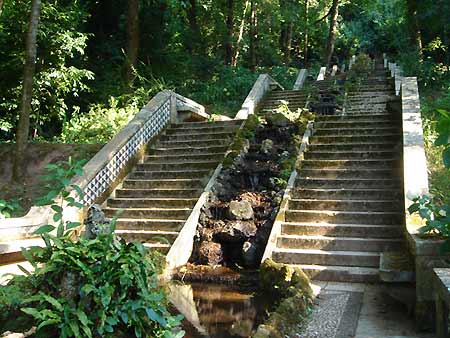 Serra do Bussaco | National Forest in Portugal